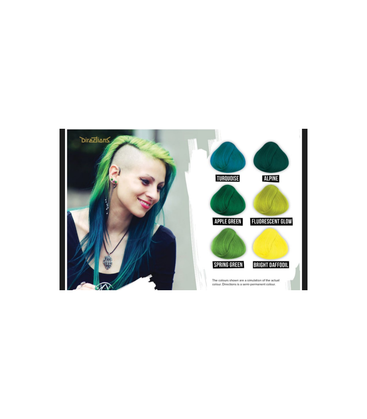 Tinte La Riche Directions Alpine Green